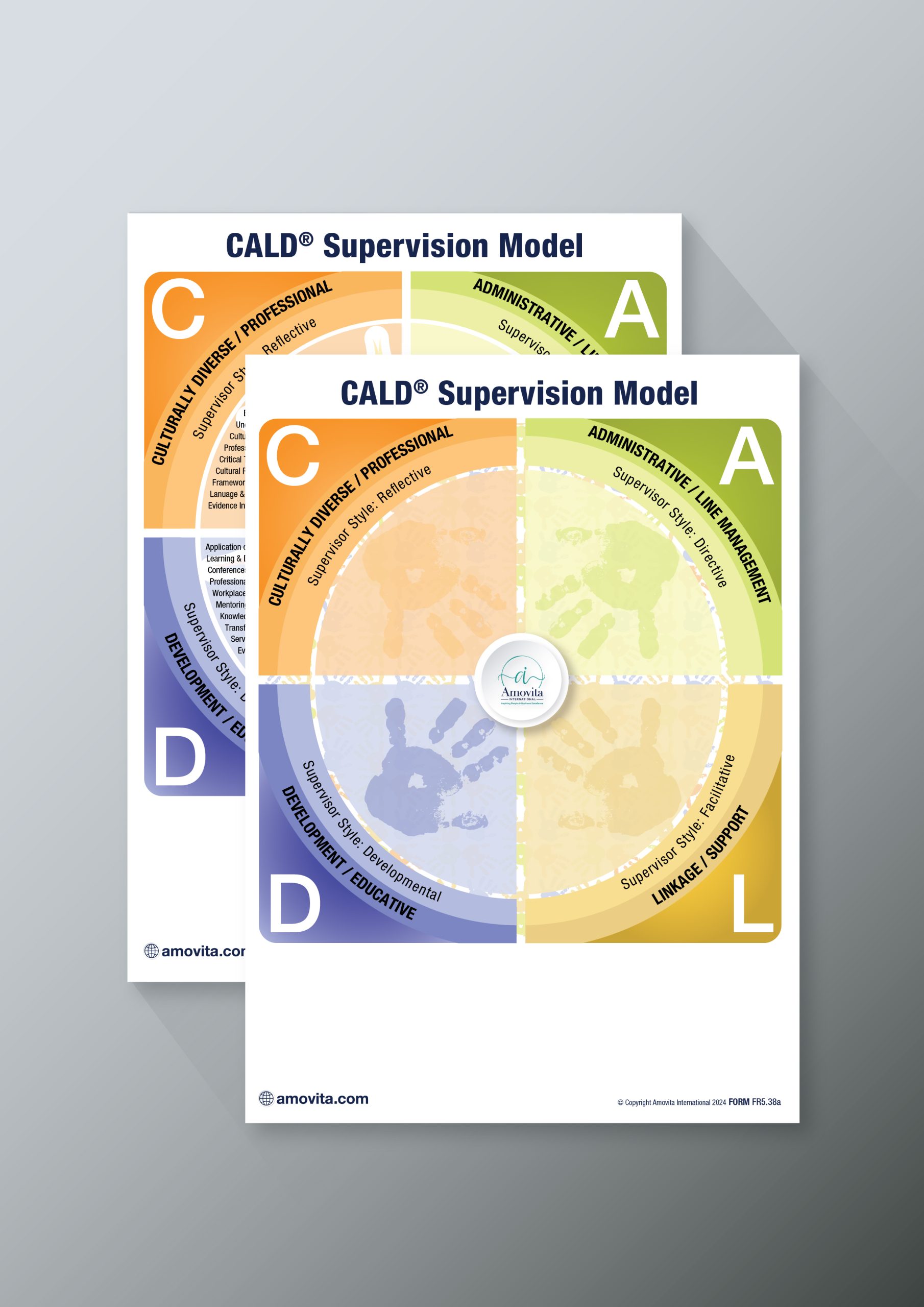 CALD® Model (25pk) - Amovita International